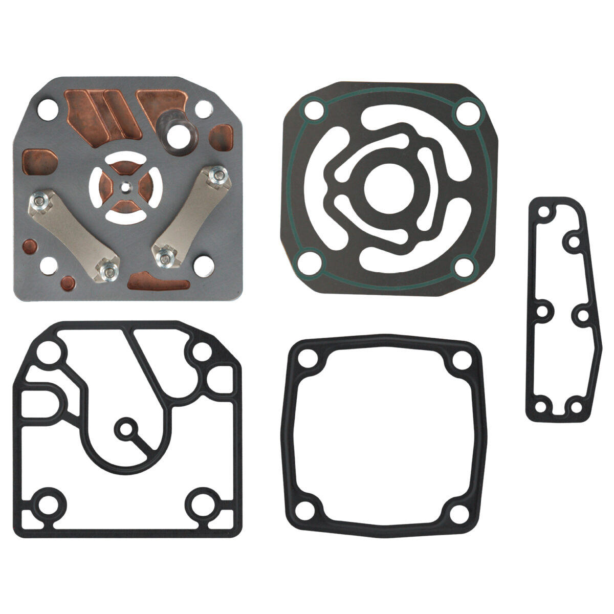 5411303619S1 Lamella Valve Repair Kit - CNG Spare Parts